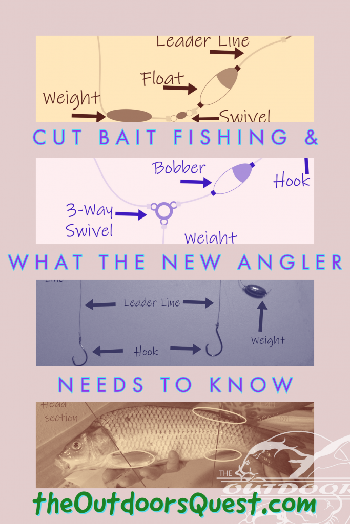 Choosing Bait & Lures – The Outdoors Quest